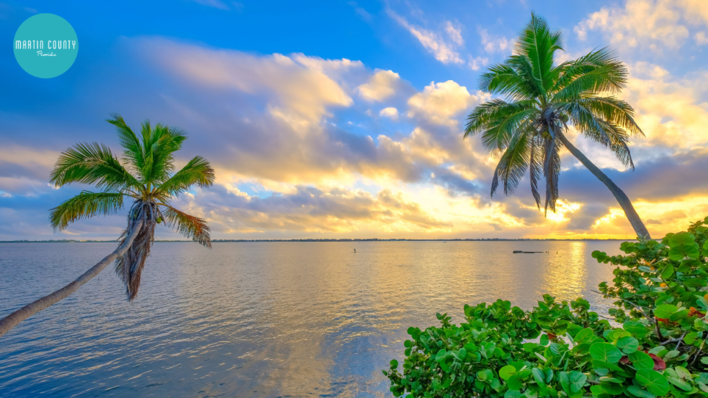 Protect Our ParadiseMC Beach - Zoom Virtual Background | Protect Our ...